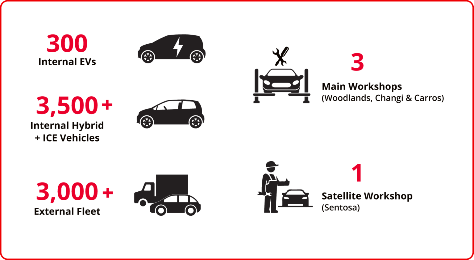Individual - STRIDES Premier