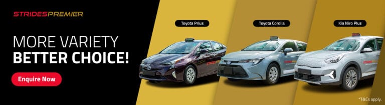 Home - STRIDES Premier